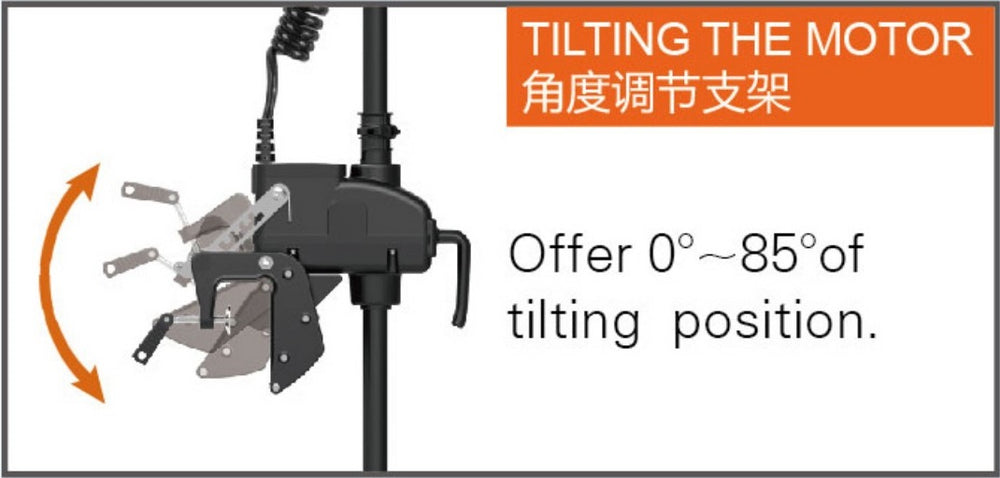 CAYMAN T TRANSOM MOUNT TROLLING MOTOR 12V 55Lbs